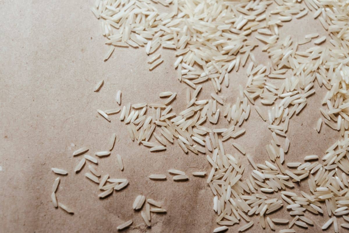 Rodzaje ryżu – czym cechują się konkretne odmiany ryżu?